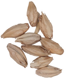 10 Lbs. Great Western Pale Ale Malt