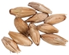 Domestic And Imported Pale Malt
